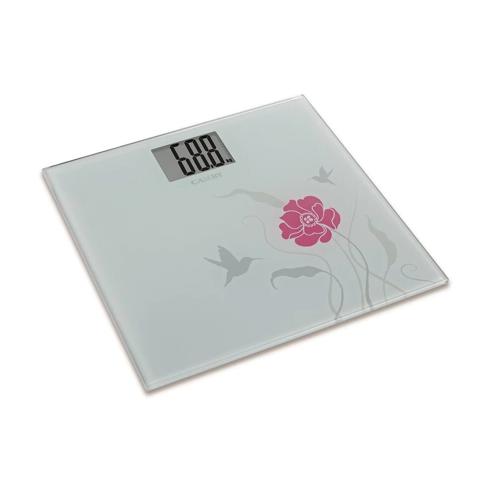 Digital Weighing Scale Price in Pakistan - Surgicals.Pk