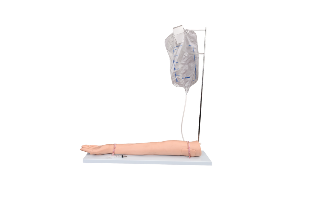 Injectable Training Arm IV Model Price in Pakistan - Surgicals.Pk