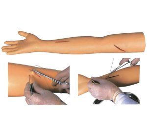Advanced Suture Practice Arm Price in Pakistan - Surgicals.Pk