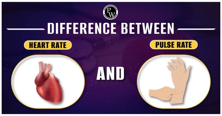 Pulse Rate vs. Heart Rate – What’s the Difference?